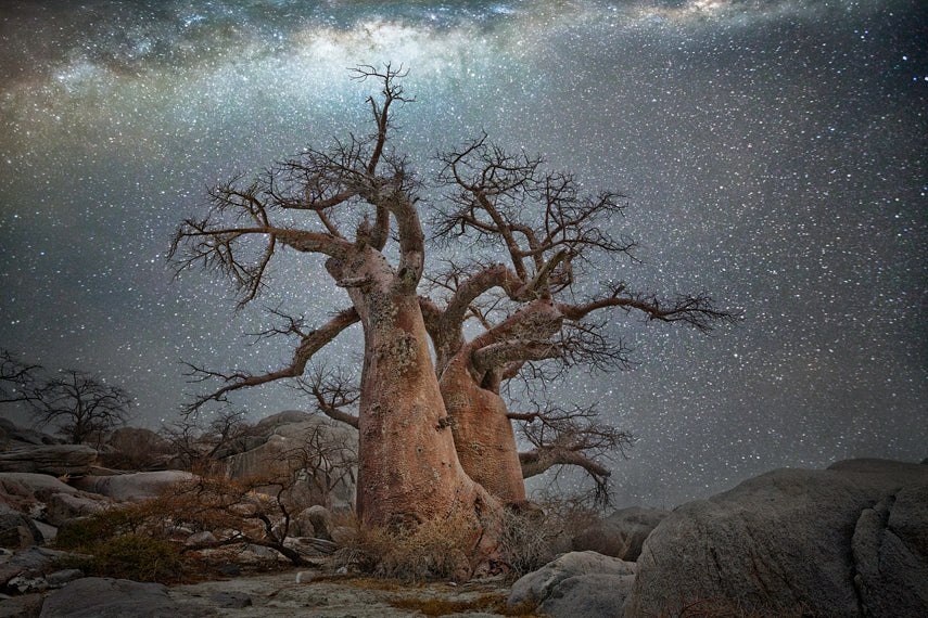 LXMI Icons: Beth Moon