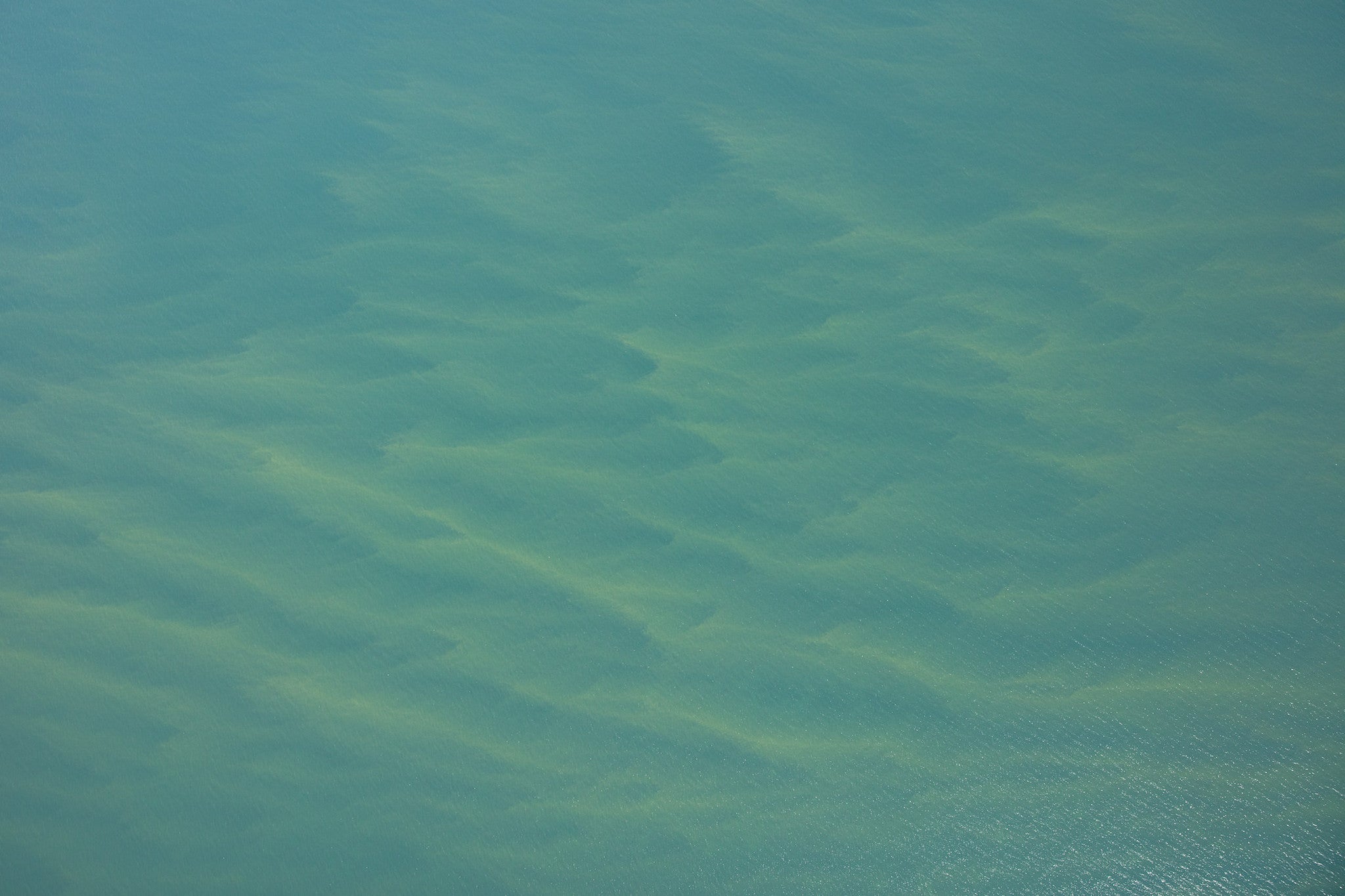 Skin Deep | Organic & Natural Ingredients | LXMI